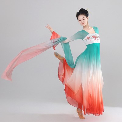 古典舞蹈服女飘逸仙气古风纱衣中国舞长款连衣裙汉唐舞蹈服大摆裙