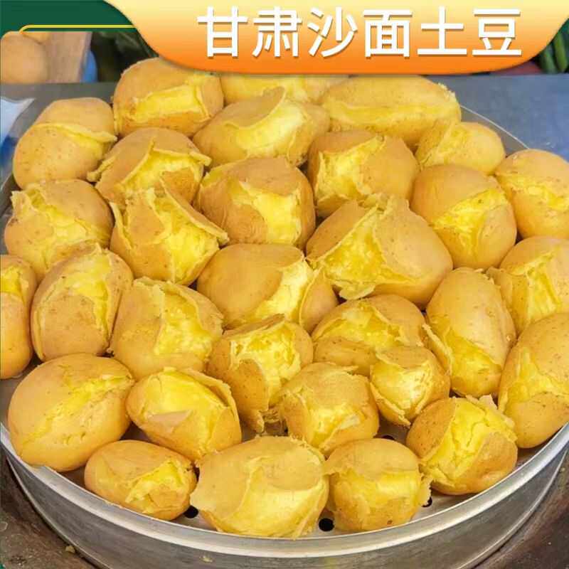 甘肃定西旱沙地黄皮黄心土豆粉面土豆黄心沙面土豆农家自种现挖