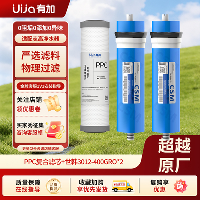 志高净水器S600P600平替通用滤芯