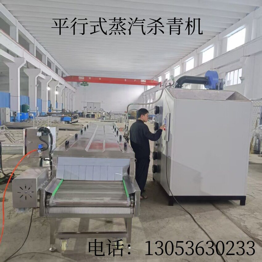 蒸汽加热菌菇类漂烫机 蒸汽式牛眼菊蒸煮杀青机 小菊花杀青机