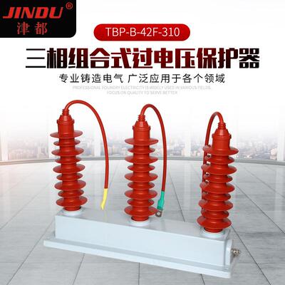 TBP组合式过压保护器三相组合式过电压保护器TBP-B-42F-310