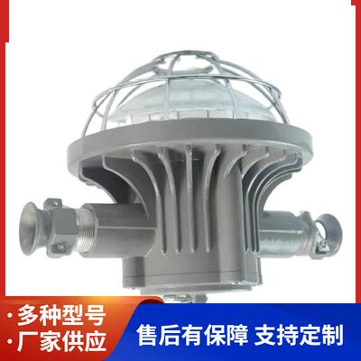 DGS24/127L(B)扇形矿用巷道灯煤矿井下用LED巷道灯