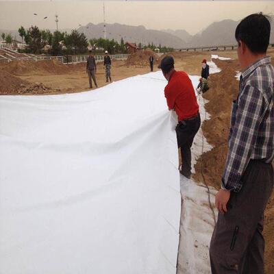 丙短丝热烫土纶布7米IGV宽土工工白色过滤土工布布厂家