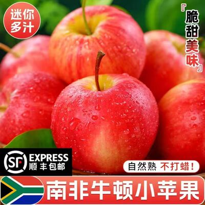 正宗南非牛顿小苹果gala果加力果姬娜果脆甜富士冰糖新鲜水果包邮