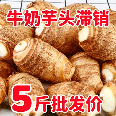 现挖芋头云南新鲜牛奶小芋头9斤毛芋头香芋应季芋头芋艿粉糯包邮