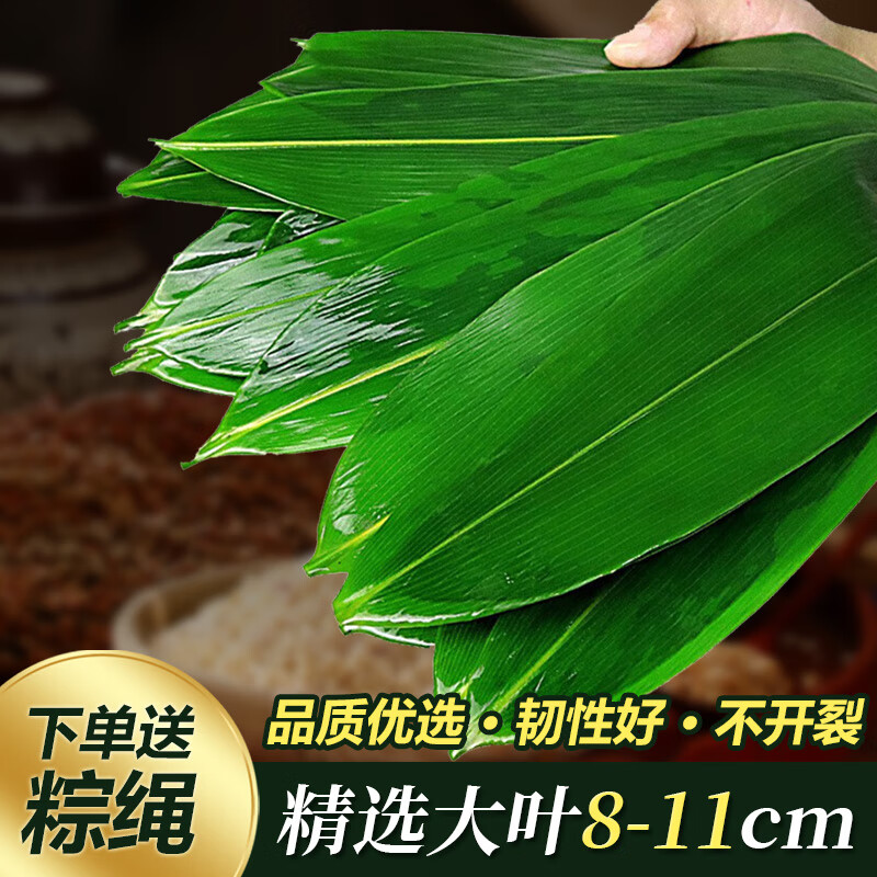 华田禾邦新鲜粽叶野生粽叶大号新叶包粽子专用端午节粽子