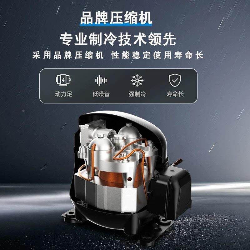 台543式藏卧式移动冷柜小摆摊保鲜冷柜烧烤三轮车炸摆串展示柜型
