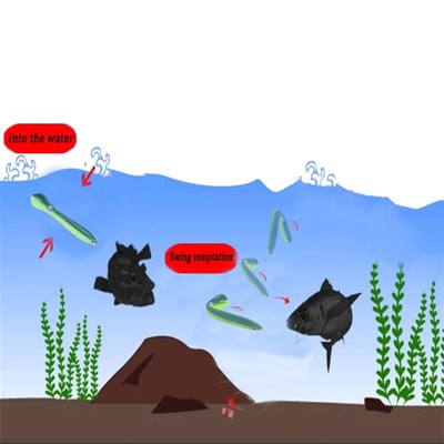 极速5/10pcs Sijlicone Soft Bait 10cm 6g Wobbler for Bass/Pik