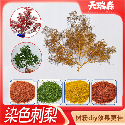 沙盘材料仿真刺藜树染色刺梨diy树木装饰微缩景观刺藜草仿真树干