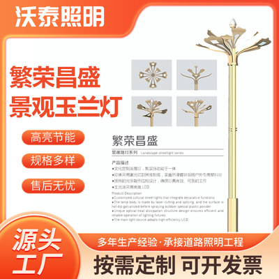 沃泰工厂热销3~12米八叉九火LED中华灯广场景观灯市政工程道路灯