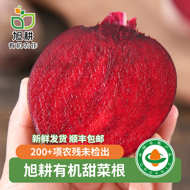 旭耕 农家自种有机甜菜头新鲜现挖现发甜菜根榨汁无农残蔬菜3/5斤