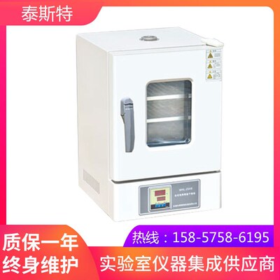 天津泰斯特WHL-65B恒温干燥箱
