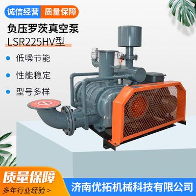 厂家现货真空吸砂机专用 型号LSR225HV型污水处理负压罗茨真空泵