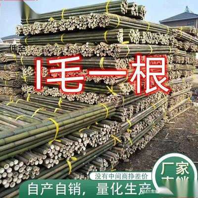 竹竿子搭架竹架子竹子杆菜园竹竿豆角黄瓜西红柿瓜果蔬菜爬藤架杆