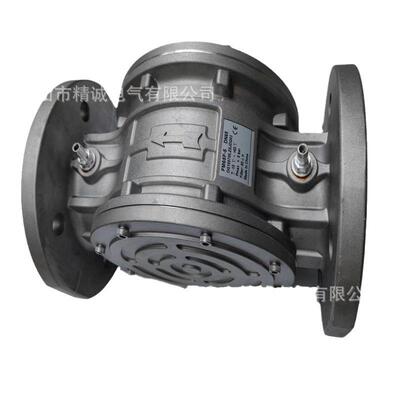 意大利菲奥过滤器Fiorentini10603/FDN25过滤器量大从优