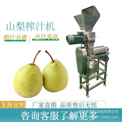 山梨破碎榨汁机螺旋雪花梨榨汁设备锦州苹果打浆机滇橄榄去核机
