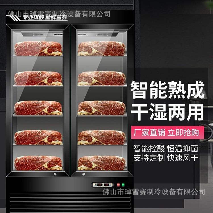 干式深海鱼牛肉牛排熟成柜商用排酸柜湿式保鲜冷冻展示柜柜冷藏