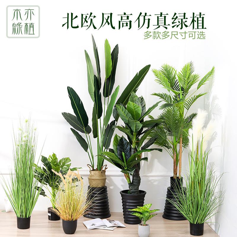 仿真吊钟琴叶榕盆景栽植物室内摆件绿植芭蕉树家居客厅仿真树盆栽