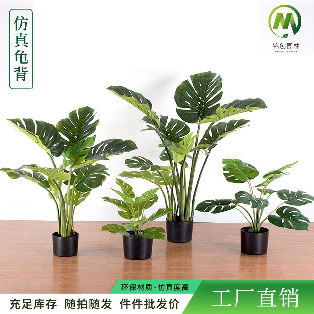 仿真绿植高级感仿真龟背叶盆景 橱窗装饰龟背竹盆栽人造植物