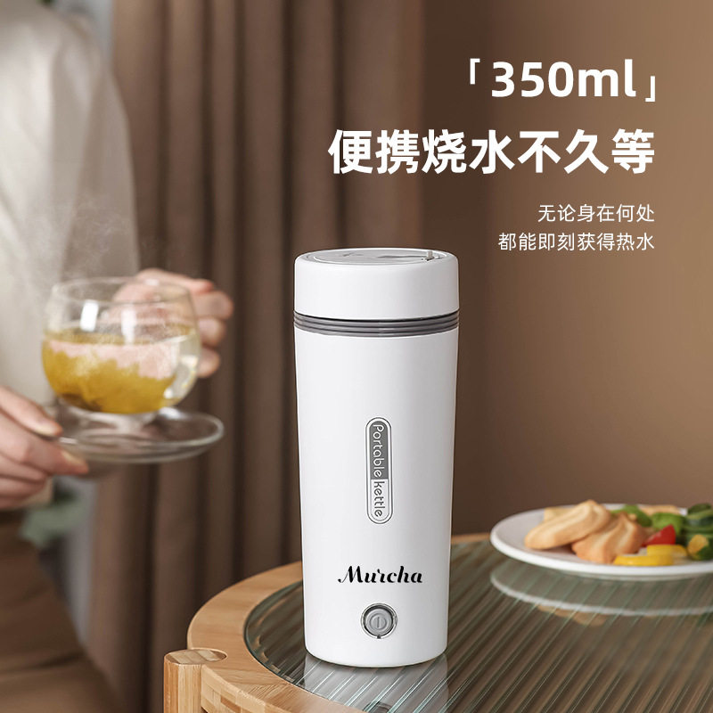 电热杯小型便携式电加热水杯保温一体烧水壶自动迷你养生壶旅行