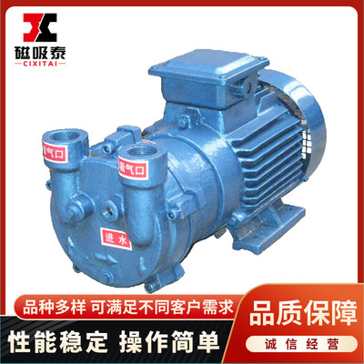 2BV2071水环式真空泵3.85 KW真空泵厦门循环水真空泵抽水汽