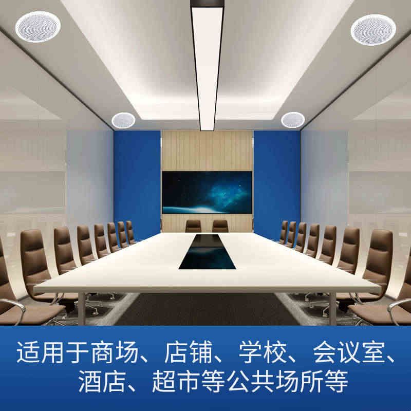 同轴吸顶喇叭天花吊顶音箱店铺商场扬声器家庭音响背景音乐喇叭