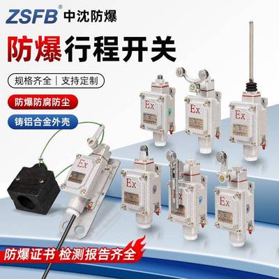 防爆行程开关LX5铝合金限位开关可调单臂滚轮式转臂防爆开关IIB