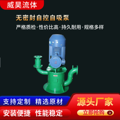 无密封自控自吸泵 WFB铸钢污水泵 无密封自吸泵 立式自控自吸泵