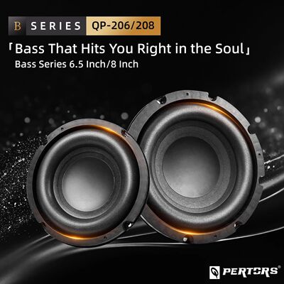 Q-PERTORS 6.5/8 Inch 200W/220W Car Subwoofer Audio Speaker f