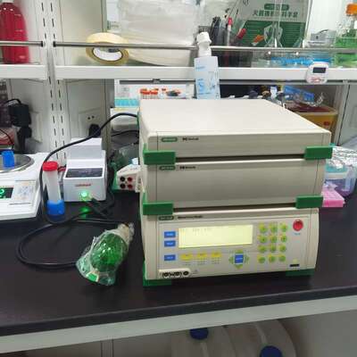 议价伯乐Bio-RAD ne Puer Xcell电穿孔