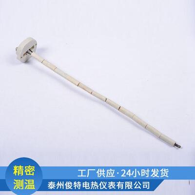 【厂家直销】WRN-010电站专用热电偶 K型热电偶 锥形热电偶