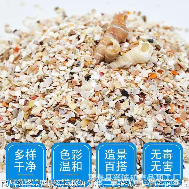 贝壳颗粒 动物补钙饲料添加剂贝壳砂 涂料胶粉用贝壳粉