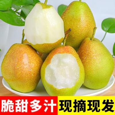 新疆库尔勒新鲜果红香酥香梨包邮