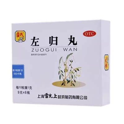 雷氏 雷允上左归丸9g*6瓶/盒