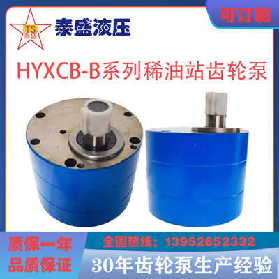 HYXCB-B125/100/80 HYXCB-B63/40稀油站齿轮油泵HYCB-B25润滑泵