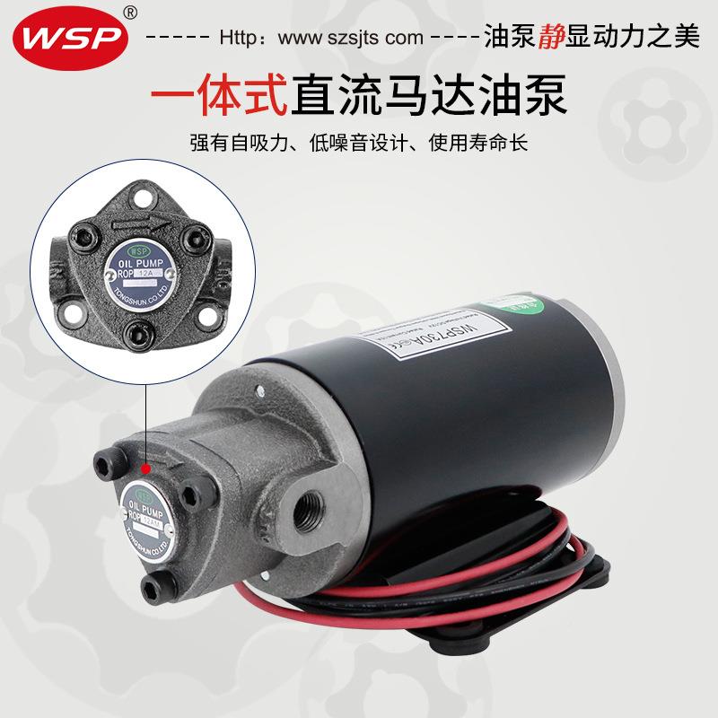 4变速箱换油泵S养汽保泵12V抽油泵24车V一轴式油WSP-70-泵电机摆