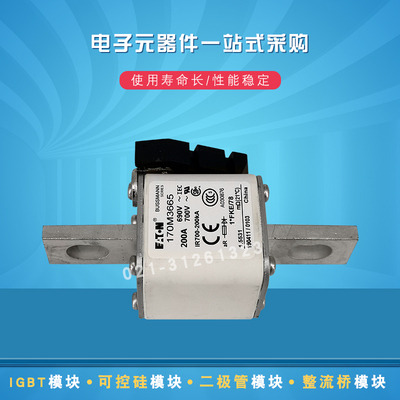 巴斯曼快速熔断器保险丝170M3664 3665 3665 3666 3667 3668 3663