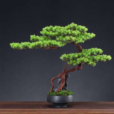 仿真迎客松景盆摆件室内客厅玄办公关室装饰XYR假绿植造景观树品