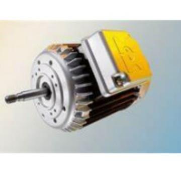 德国HANNING无壳电机