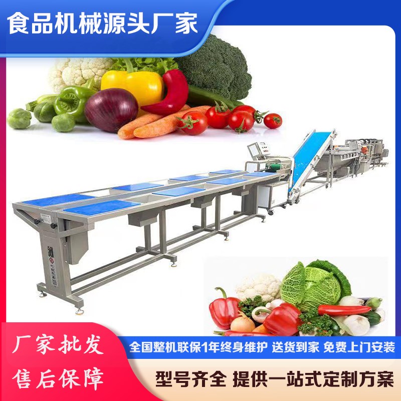 预制菜净菜加工流水线根茎类叶菜类气泡清洗机海产品肉类清洗机