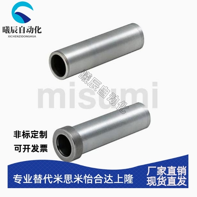 微型滚珠衬套导套BGB BGH SSBGB SSBGH LOM01 21 26 6 8 10 20