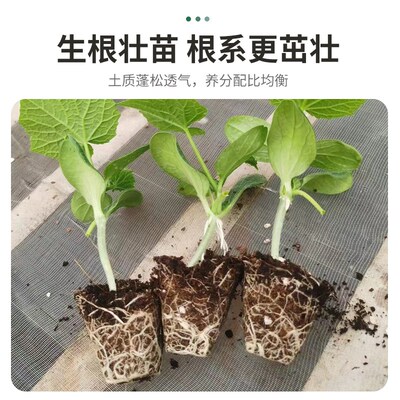 原装芬兰凯吉拉KEKKILA泥炭土0-10育苗盆栽多肉土通用营养土280L
