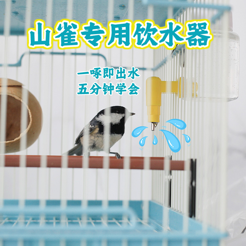 山雀小型鸟类饮水器外挂型防污染红子贝子鸟笼专用