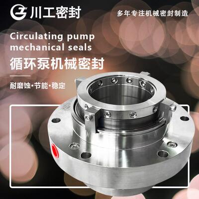机械密封 C131110ZWXIIEMZ-600-B1-650 多效蒸发强制循环泵机封