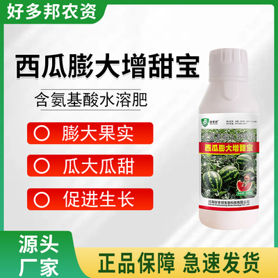 西瓜根苗旺西瓜种植专用生根壮苗健壮植株膨果增甜氨基酸水溶肥