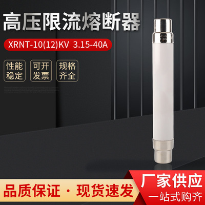 XRNT-10KV50A63A100A高压高分段能力限流熔断器保险管SFLAJ-12KV