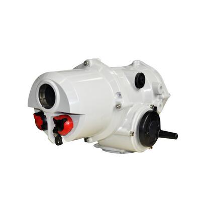 柳州推力型智能执行器 Z200-18I Z120-24T 设备精良