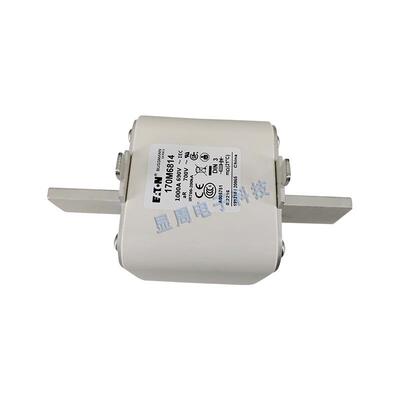 保险丝熔断器170M6813D 170M6814D 170M6815 170M6816 170M6817