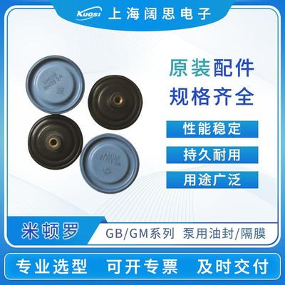 LMI计量泵配件GM/GB计量泵油封单向阀拍前咨询客服精密