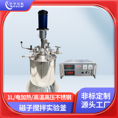 环宇 2L 高温釜 高压釜 不锈钢釜 电加热釜 磁子搅拌 实验釜